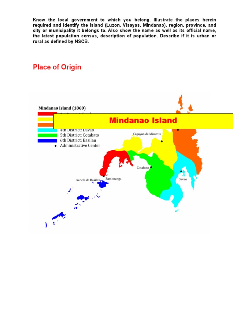 Local Government Concepts and Basic Policies | PDF | Local Government ...