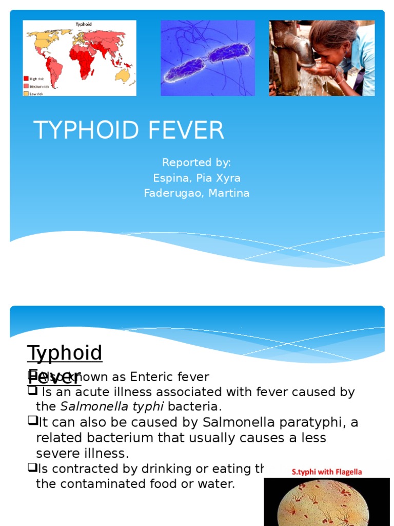 Typhoid Fever Final 2 | Medicine | Diseases And Disorders | Free 30-day ...