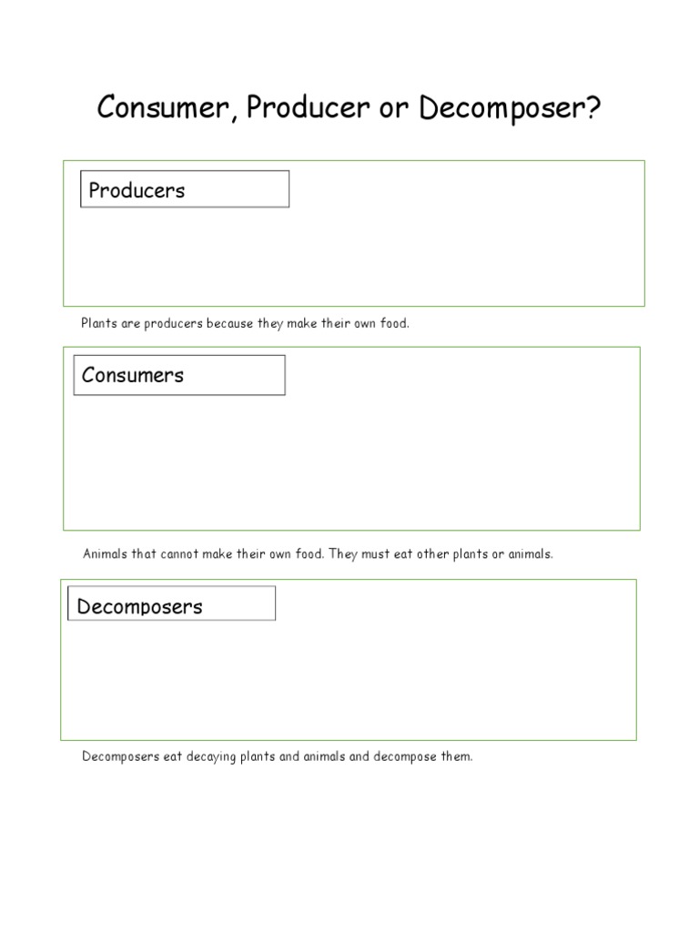 Consumer Producer or Decomposer | PDF | Home & Garden | Science ...