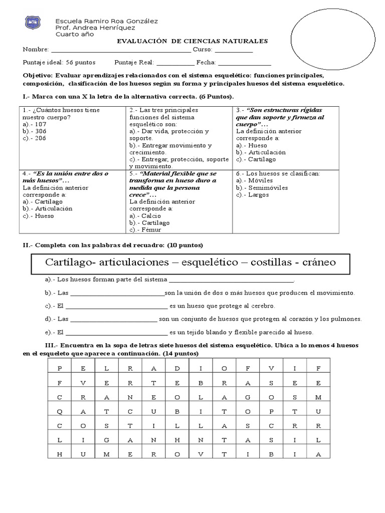 Prueba Sistema Esqueletico | PDF | Articulación | Hueso