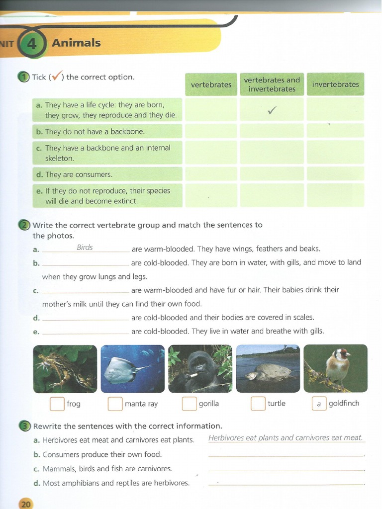 Animals 4 PRIMARIA SCIENCES | PDF
