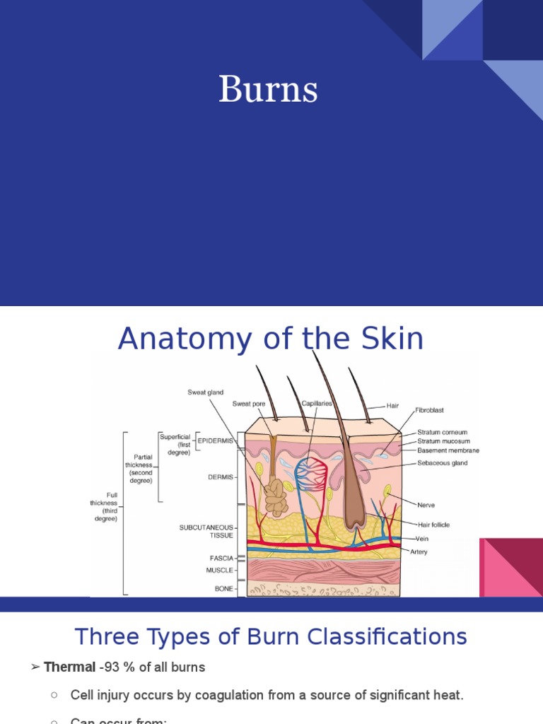 Burns | PDF | Burn | Respiratory Tract