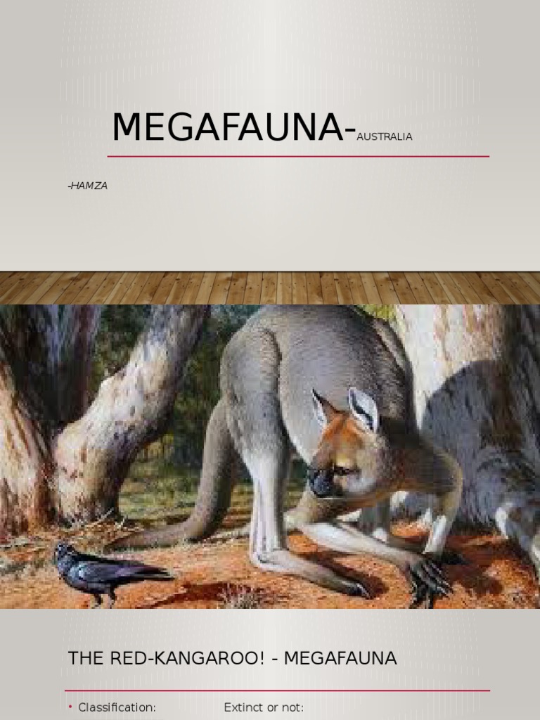Megafauna Australia | PDF | Social Science | Home & Garden