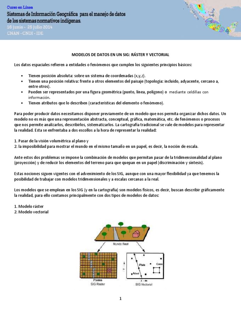 Sig Modelo Vectorial Raster | Sistema de información geográfica ...