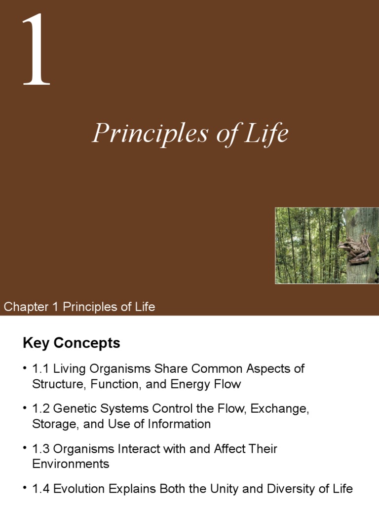 Ch01 Lecture-Principles of Life | Organisms | Earth & Life Sciences ...