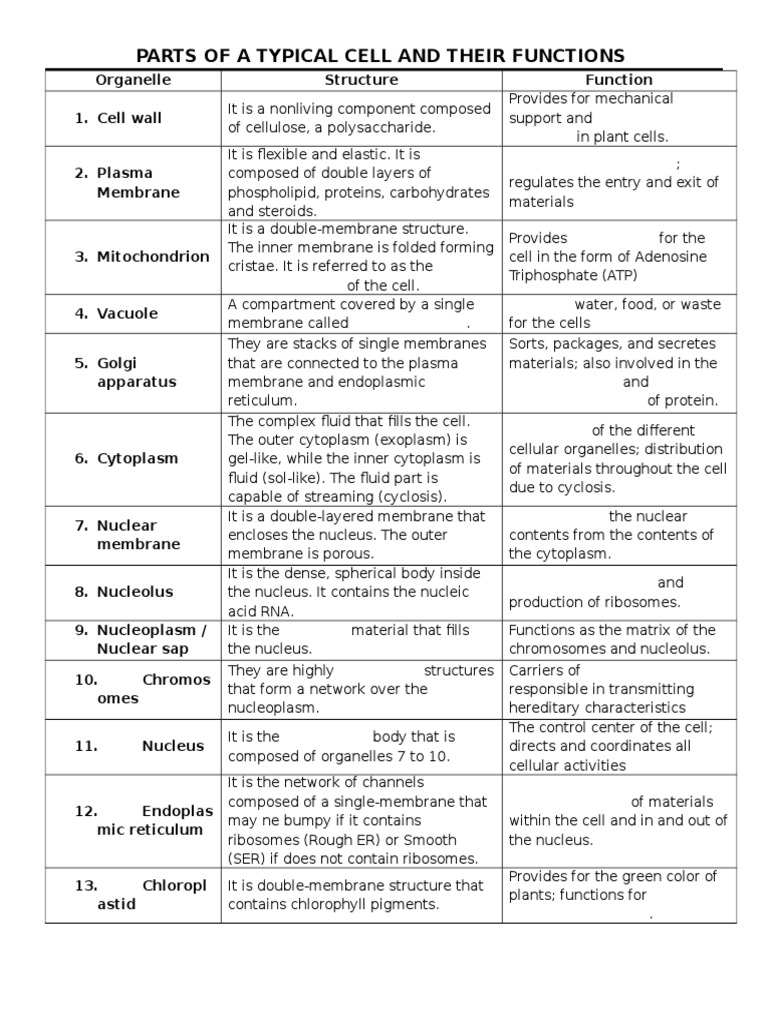 Parts of A Typical Cell and Their Functions: Maintains Cell Shape ...