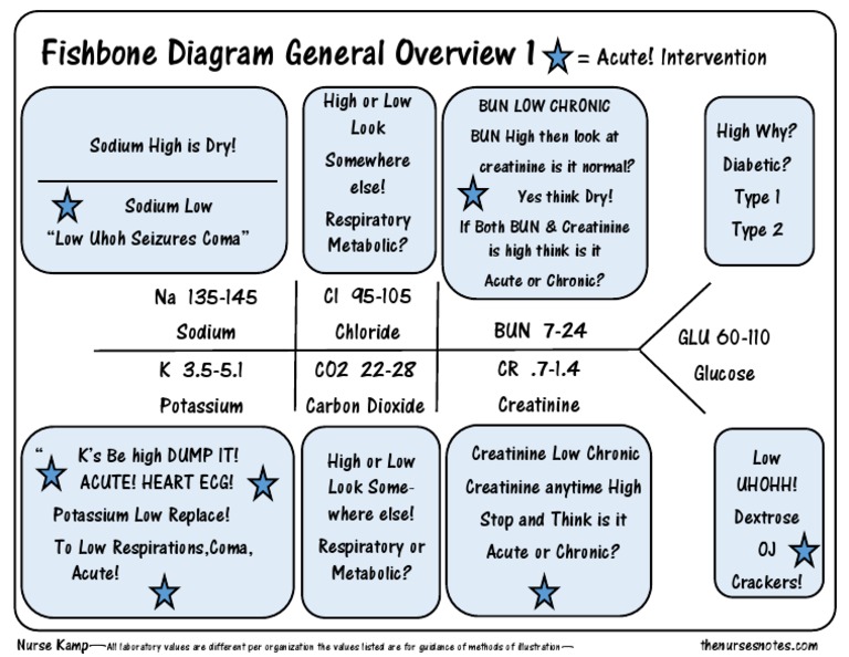 Fishbone Diagram General Overview 1: Acute! Intervention | PDF