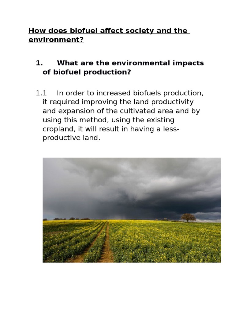 How Does Biofuel Affect Society and The Environment | PDF | Technology ...