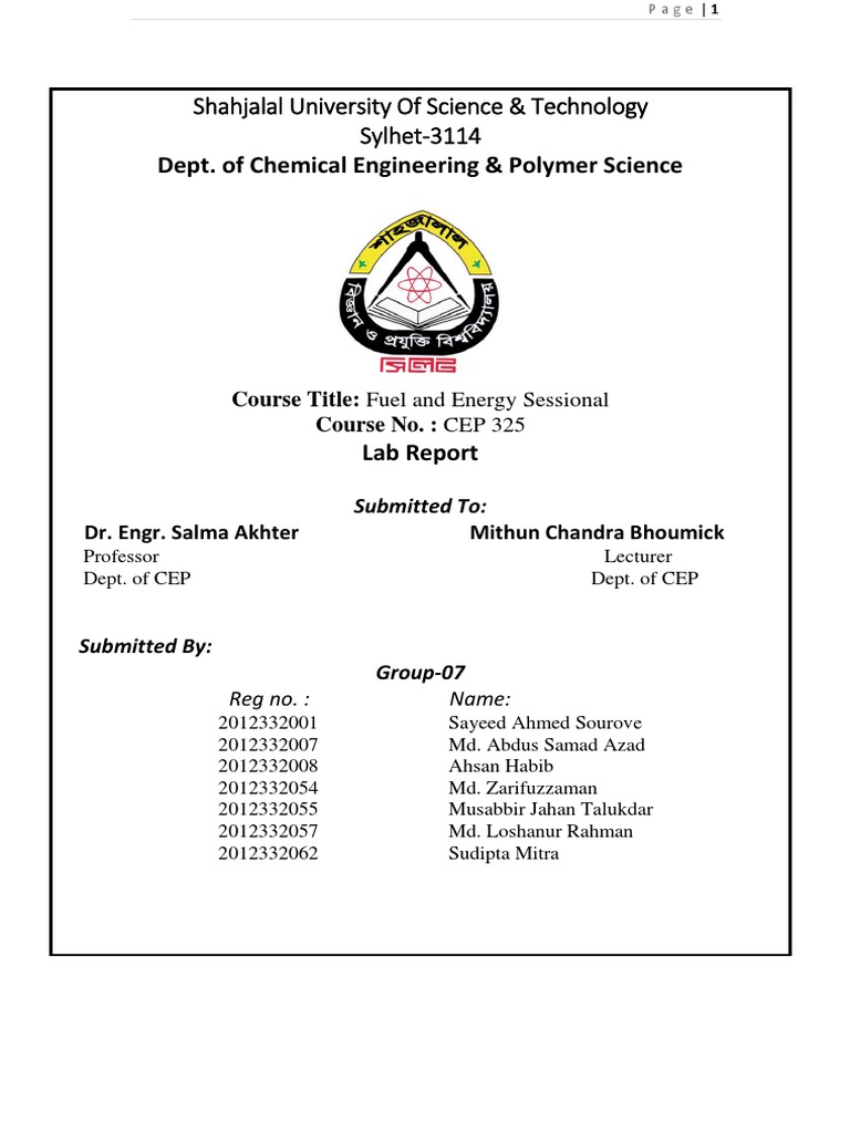 Fuel Lab Report | PDF | Viscosity | Shear Stress