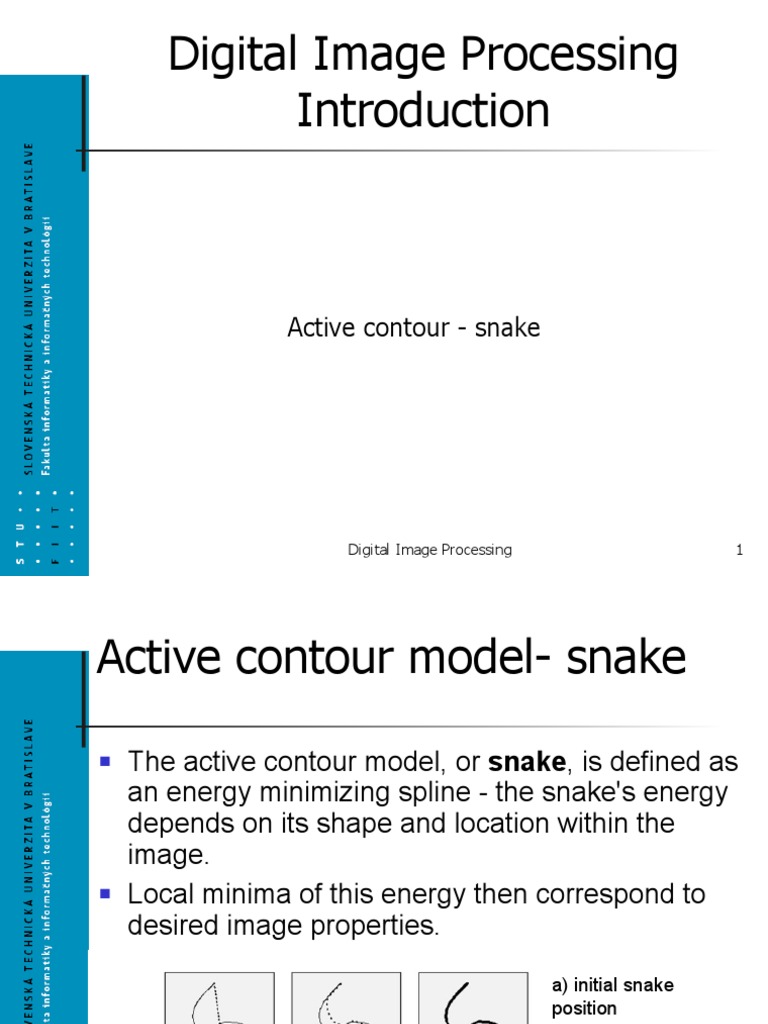 Active Contour Models in Image Processing | PDF | Teaching Methods ...
