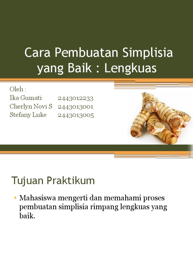 (FINAL PPT FIX) Cara Pembuatan Simplisia Yang Baik - UAS | PDF