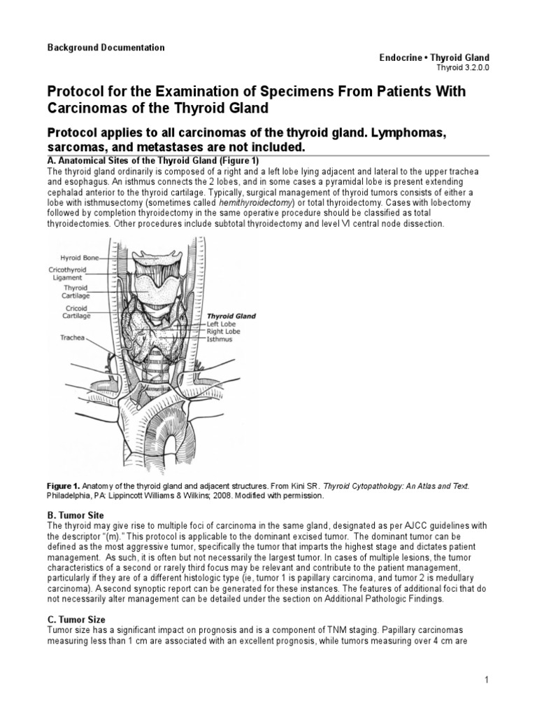CAP Protocol-2016 Thyroid - Highlighted | PDF | Neck | Carcinoma