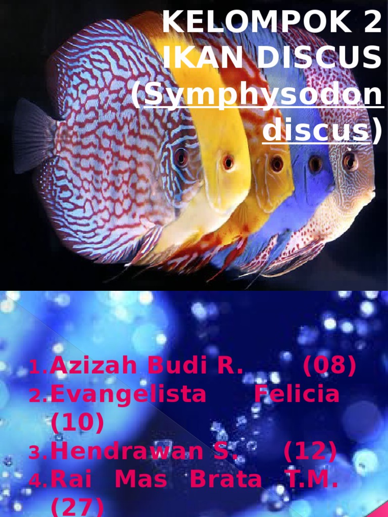 Panduan Lengkap Ikan Discus Hias | PDF | Griya & Taman