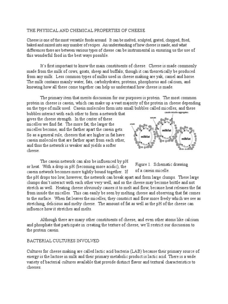 The Physical and Chemical Properties of Cheese | PDF | Cheese ...