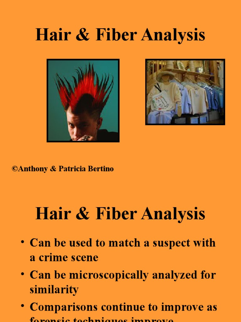 Hair & Fiber Analysis: ©anthony & Patricia Bertino | PDF | Hair | Thymus