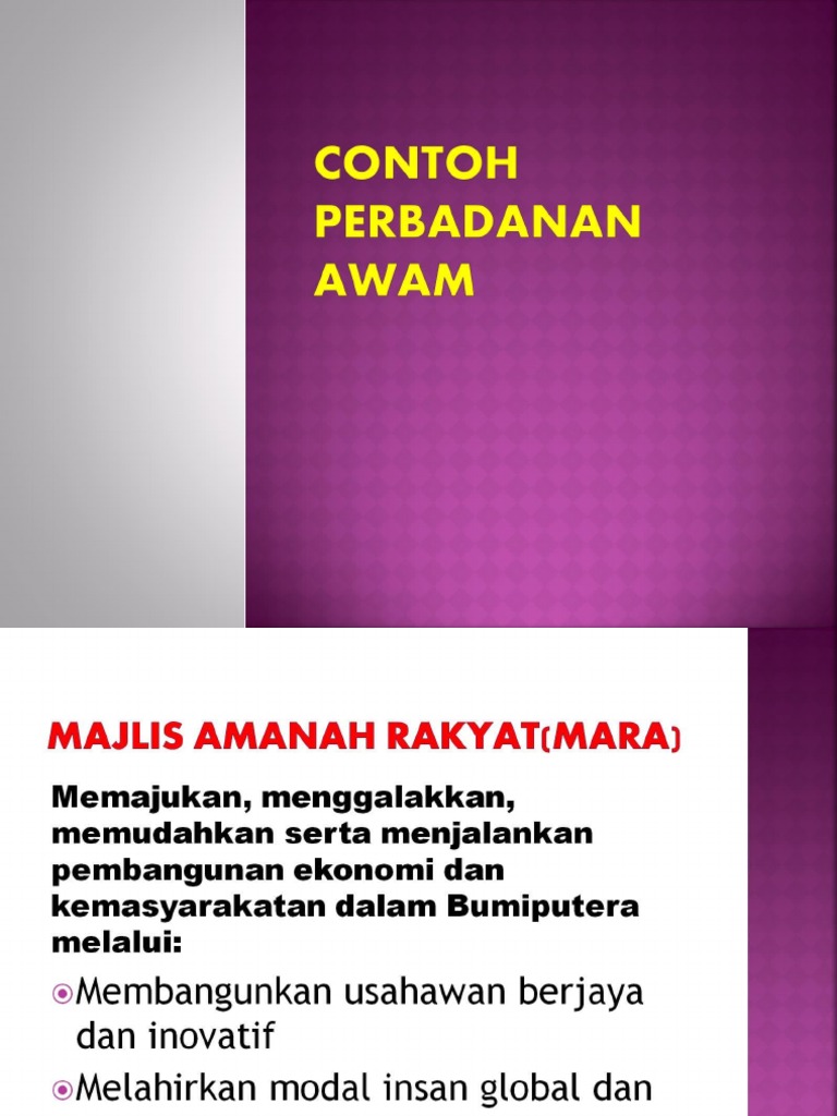 Contoh Perbadanan Awam Shantty | PDF