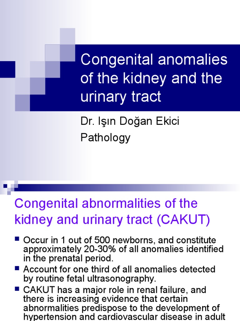 Congenital Anomalies of The Kidney and The Urinary Tract: Dr. Işın ...