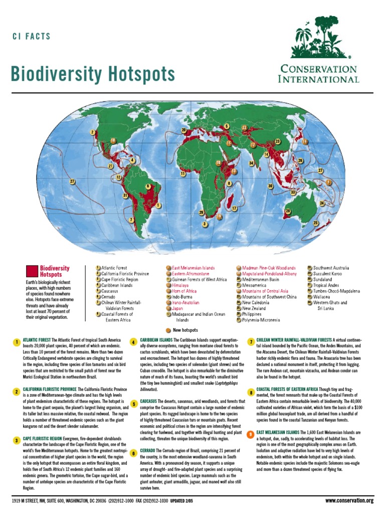 Global Biodiversity Hotspots Overview | PDF | Andes | Biodiversity