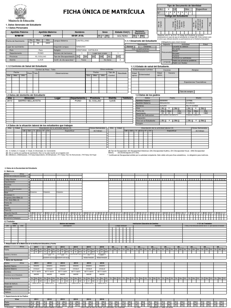 Modelo Ficha de Matricula | PDF | Educación primaria | Aprendizaje