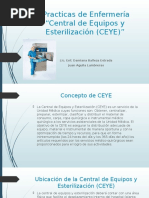 Ceye | PDF | Enfermería | Hospital
