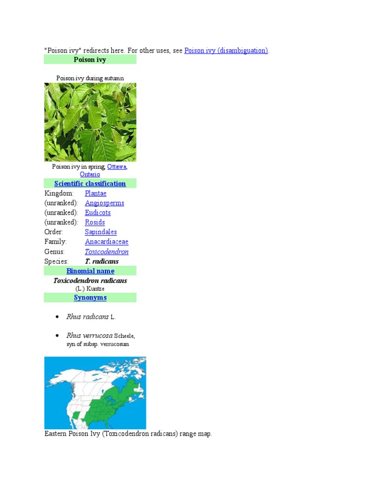 Poison Ivy | PDF | Garden Plants | Domesticated Plants