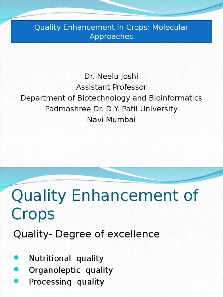 Molecular Approaches to Crop Quality Enhancement | PDF | Lysine | Starch