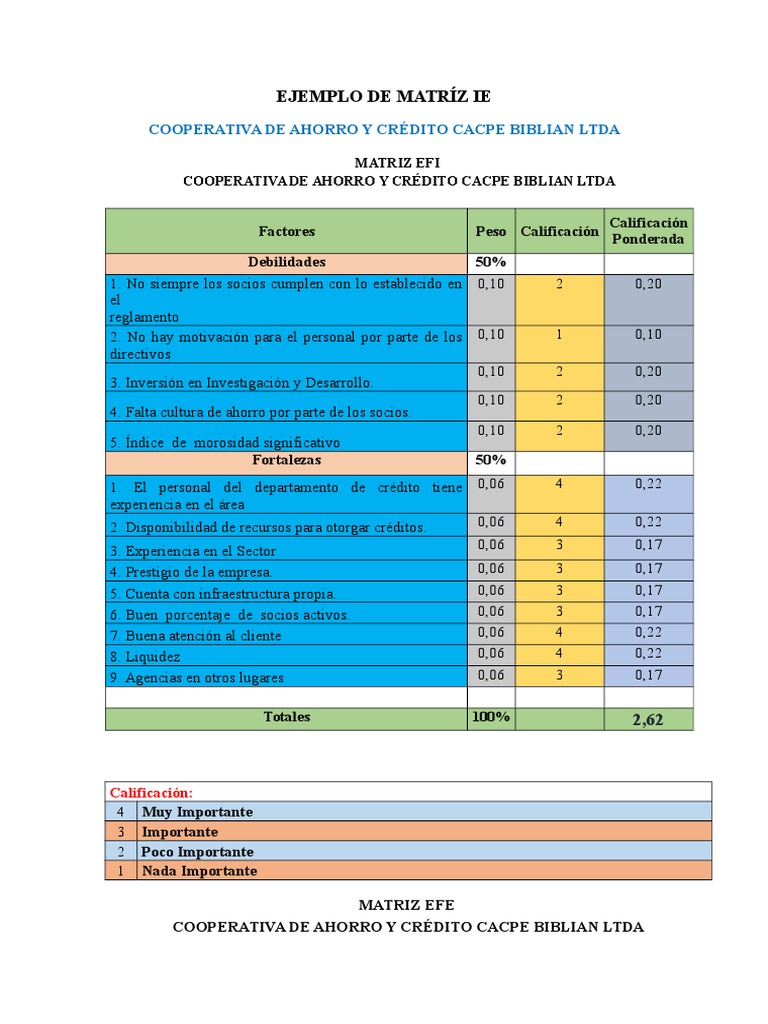 Matriz Interna y Externa | PDF