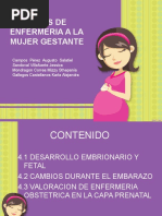 Brandt Andrews | PDF | Partería | Parto