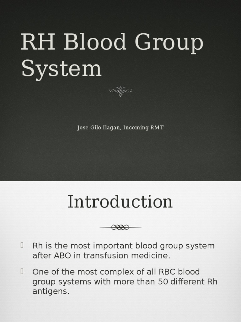 RH Group | PDF