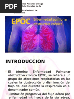 Qué Es La PAFI-1 | PDF