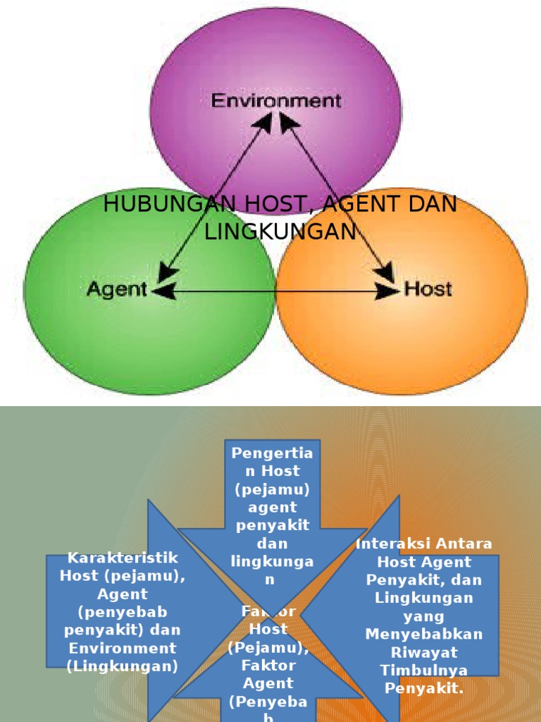 Hubungan Host, Agent Dan Lingkungan | PDF