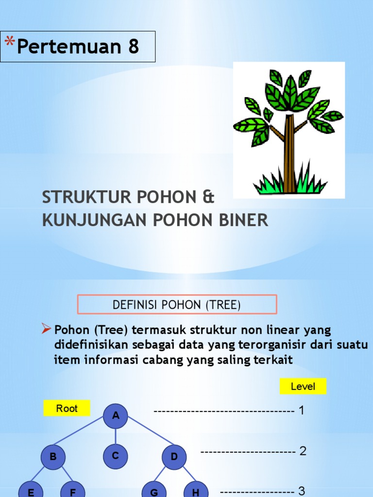 STRUKTUR POHON & KUNJUNGAN POHON BINER