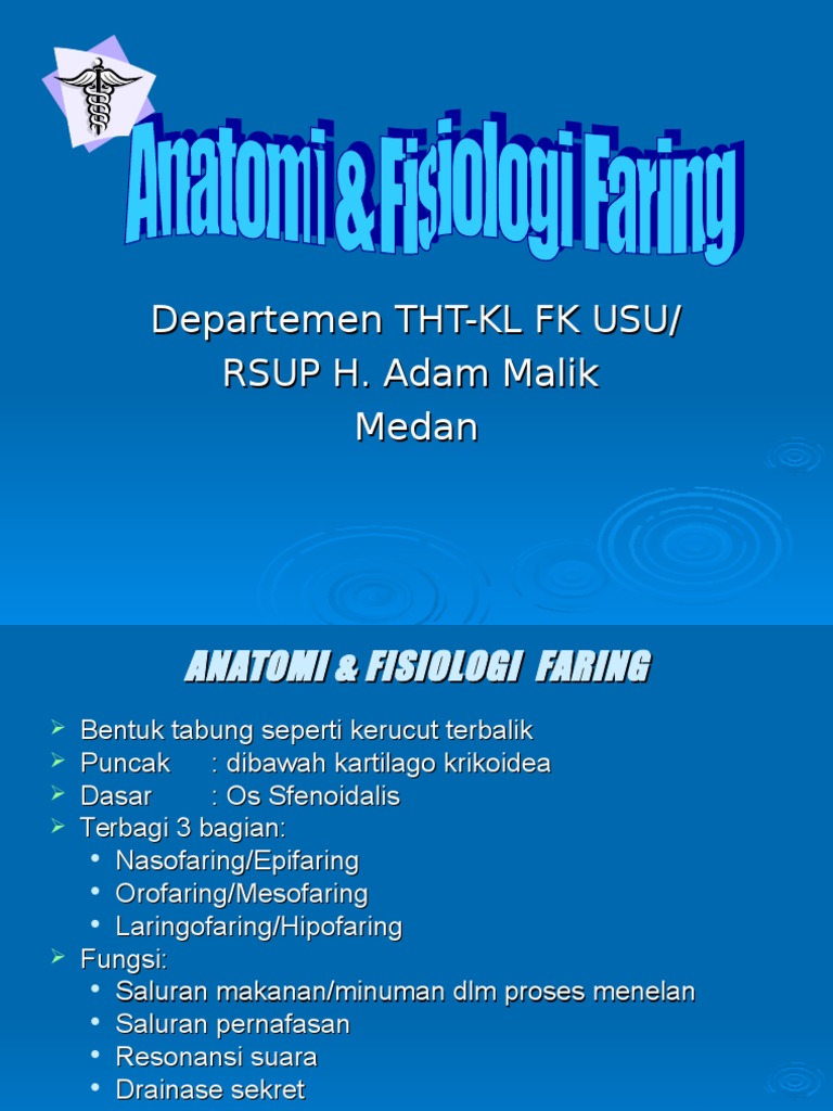 Anatomi & Fisiologi Faring, Faringitis Akut & Kronis | PDF