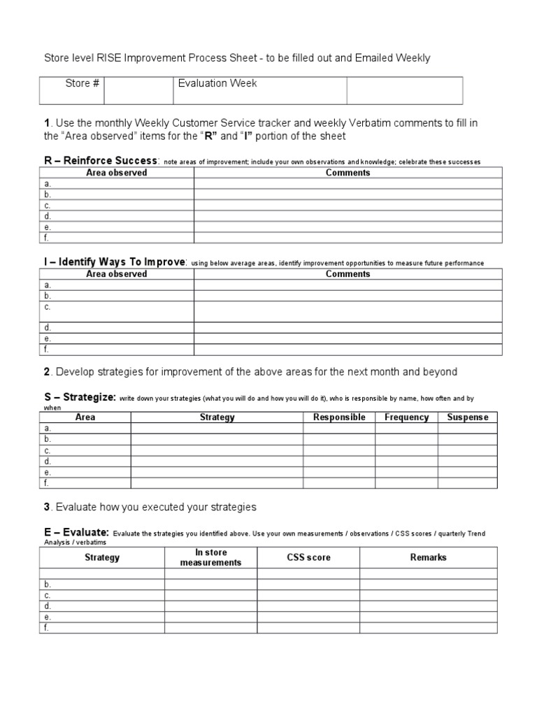 Weekly RISE Improvement Process Sheet | PDF