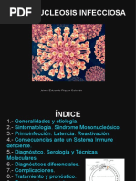 Cápsula de Glisson | PDF | Tejido adiposo | Riñón