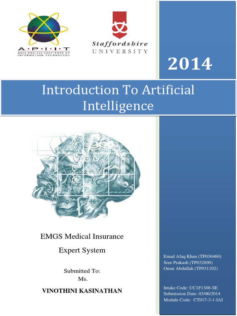 Introduction to Artificial Intelligence Assignment | Patient | Insurance