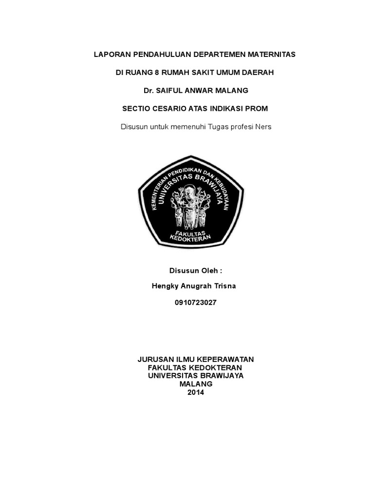 LP Sectio Caesarea | PDF