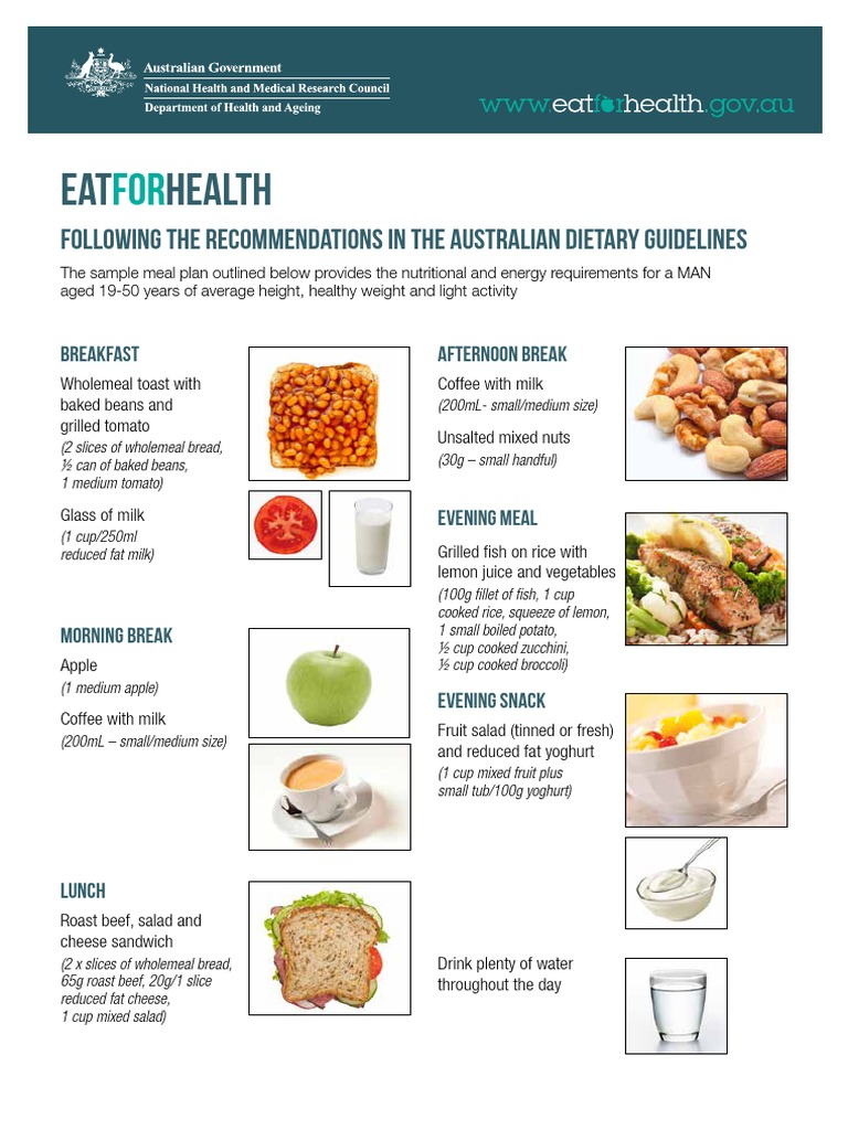 Adg Sample Meal Plan Men | PDF