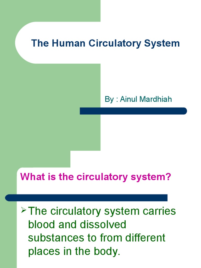 The Human Circulatory System | PDF