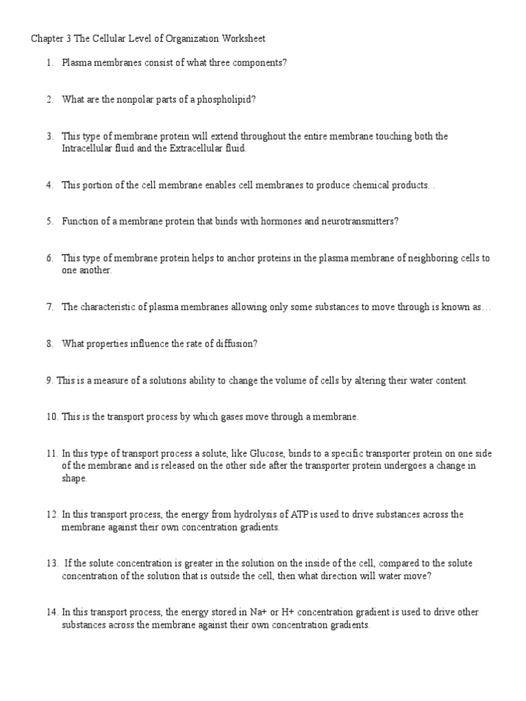 Chapter 3 Test Worksheet | PDF | Cell Membrane | Cell (Biology)