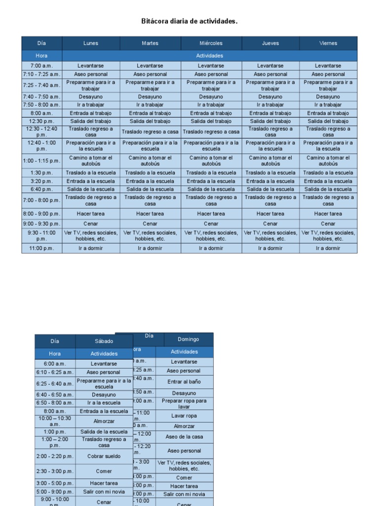 Bitácora Diaria de Actividades