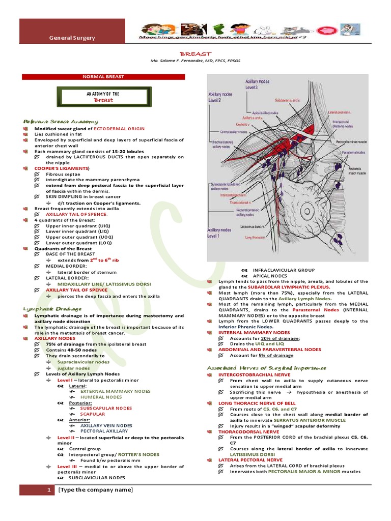 SURGERY Lecture 4 - Breast (Dra. Fernandez) | PDF | Mammography ...