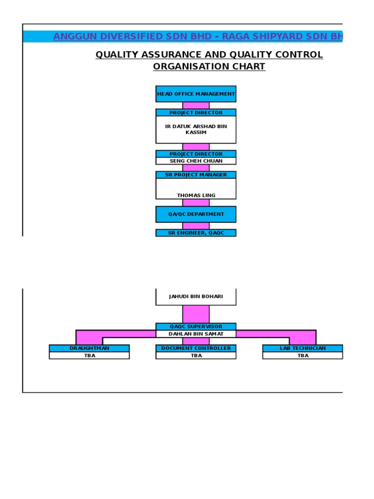 Organisational Charts for QA, QC, HSE Departments | PDF | Quality ...