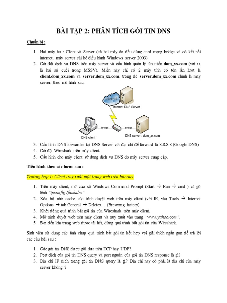 01-BT2 +Bai+tap+phan+tich+goi+tin+DNS | PDF