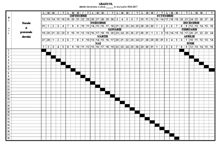 GRAFIC Elevi serviciu