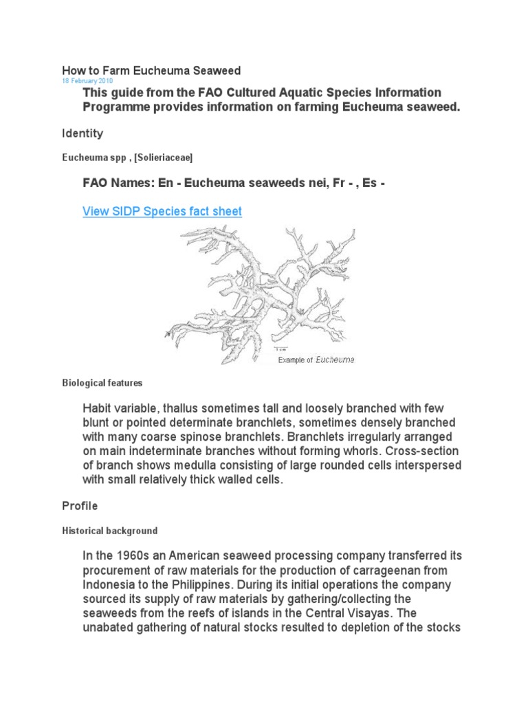 How To Farm Eucheuma Seaweed | PDF | Agriculture | Foods