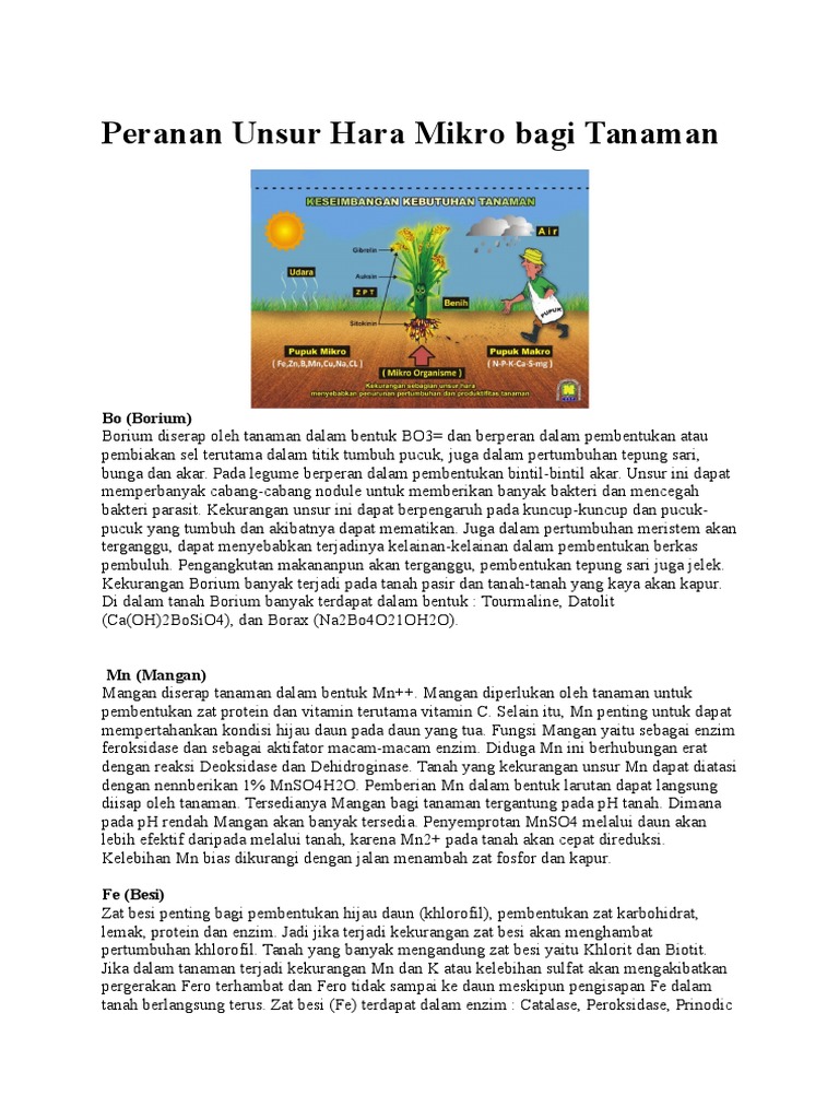 Tabel Unsur Hara Makro dan Mikro | PDF | Sains & Matematika