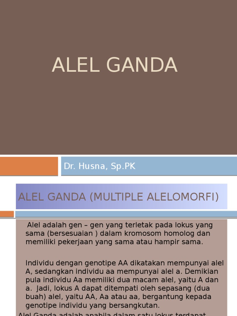 Alel Ganda DR - Husna | PDF