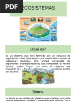 Suelos Humíferos - Características, Tipos y Animales - Lifeder PDF ...