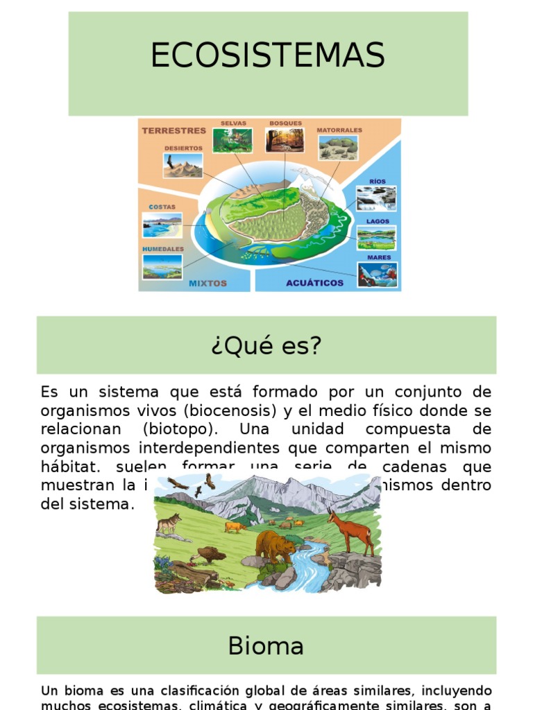 Ecosistemas diapositivas | Ecosistema | Biomas